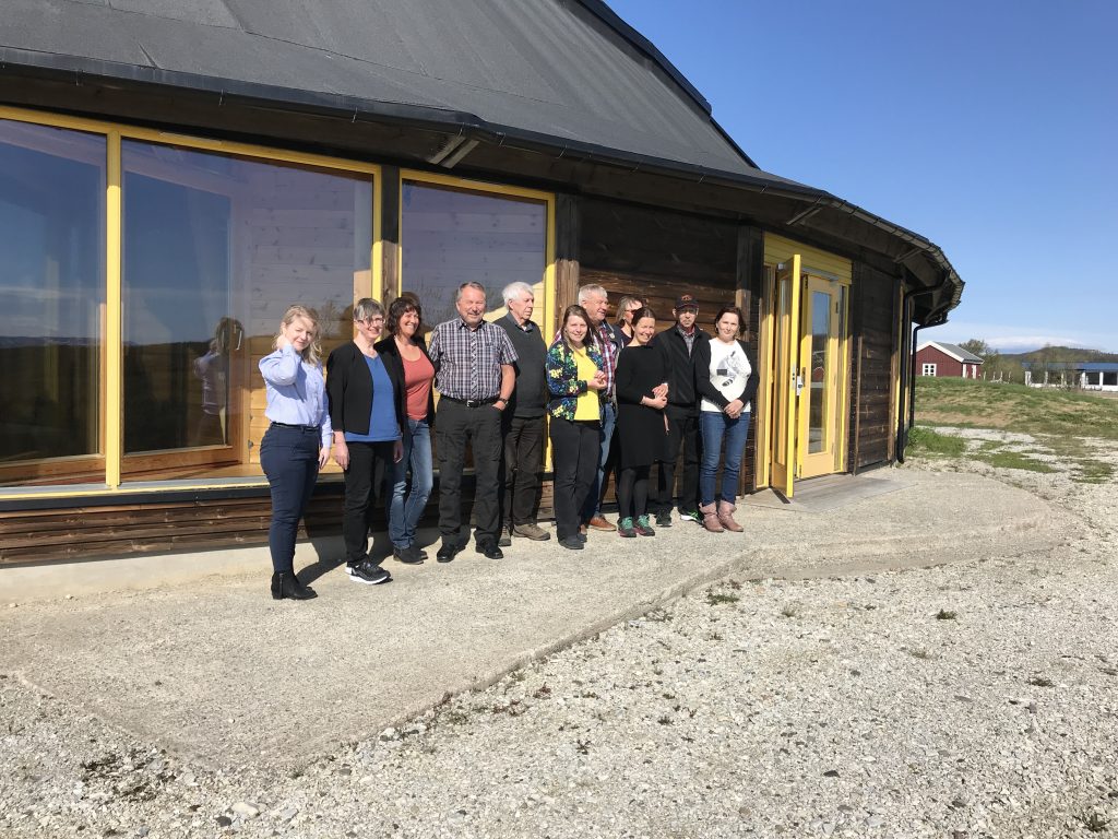 En god strategiplan - Ruijan Kaiku