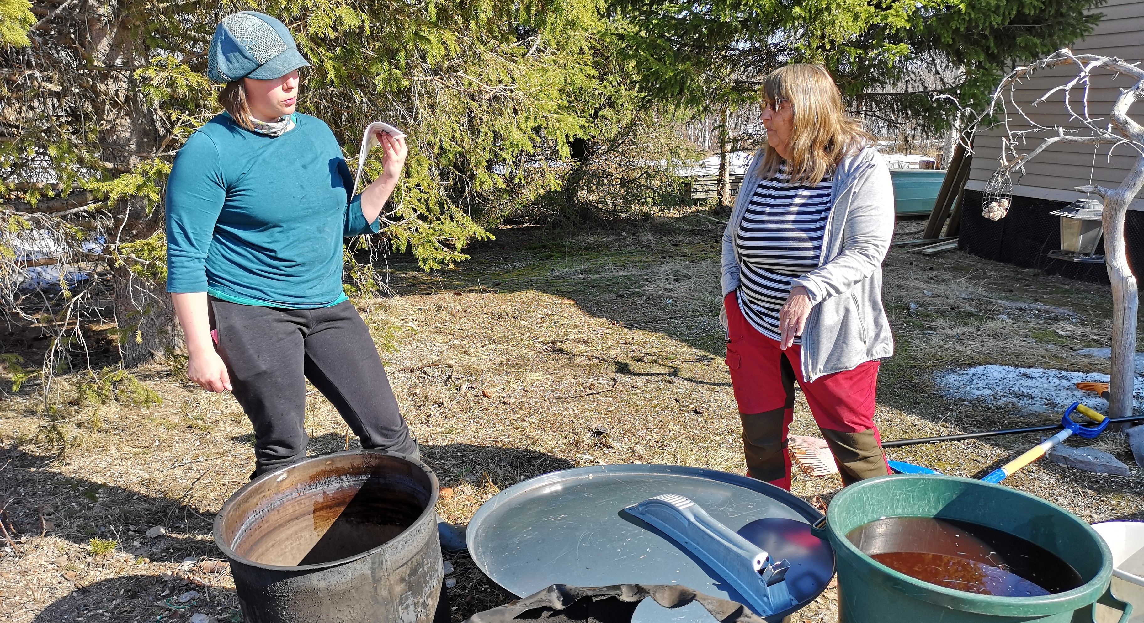 Farger skinn med bark og jernskrot - Ruijan Kaiku