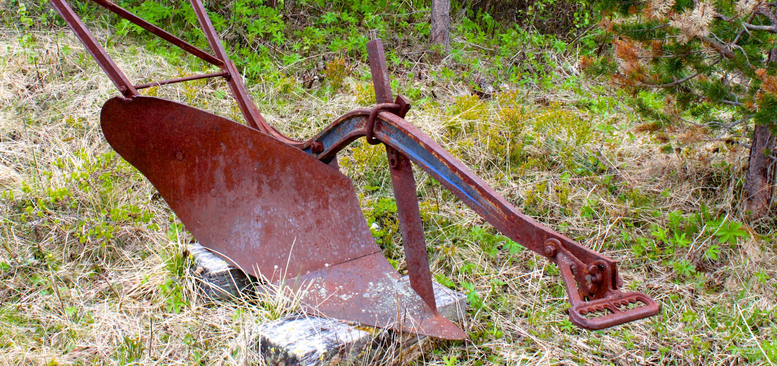 Vanha aura • Gammel plog - Ruijan Kaiku