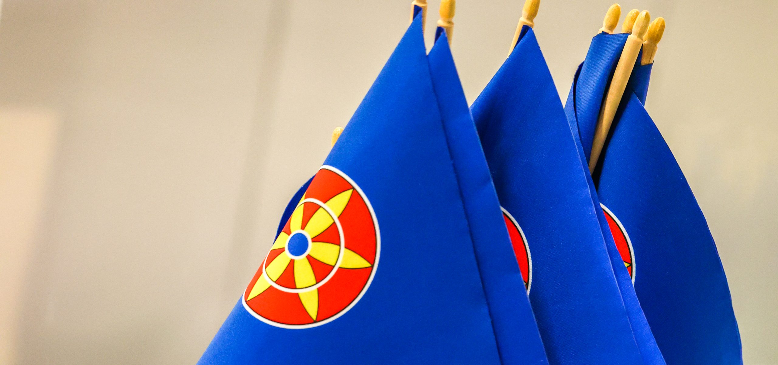 Ruijan Radio: Finne røtter og lære gloser - Ruijan Kaiku