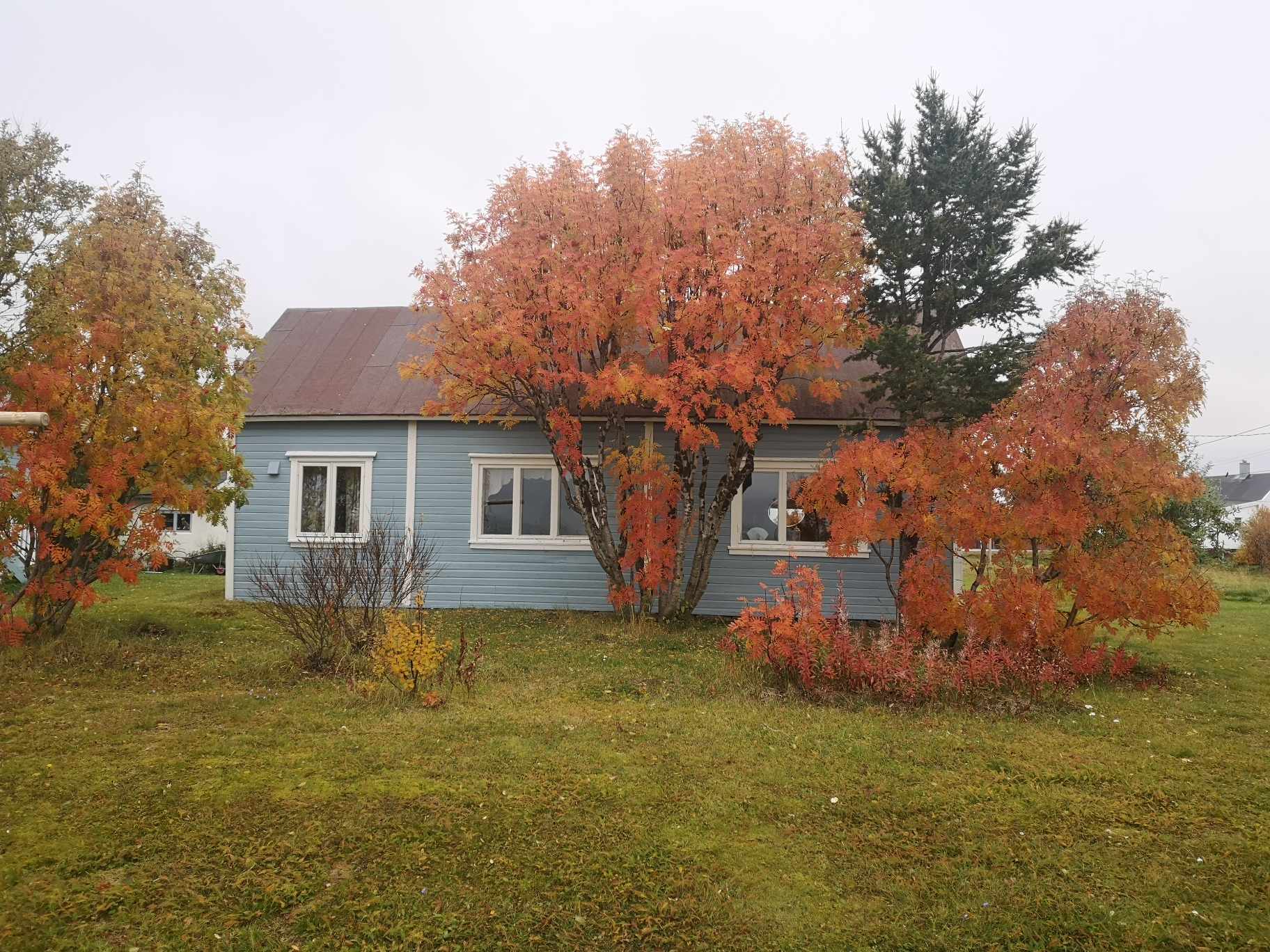 LassinPetterin talo får midler til reparasjon - Ruijan Kaiku