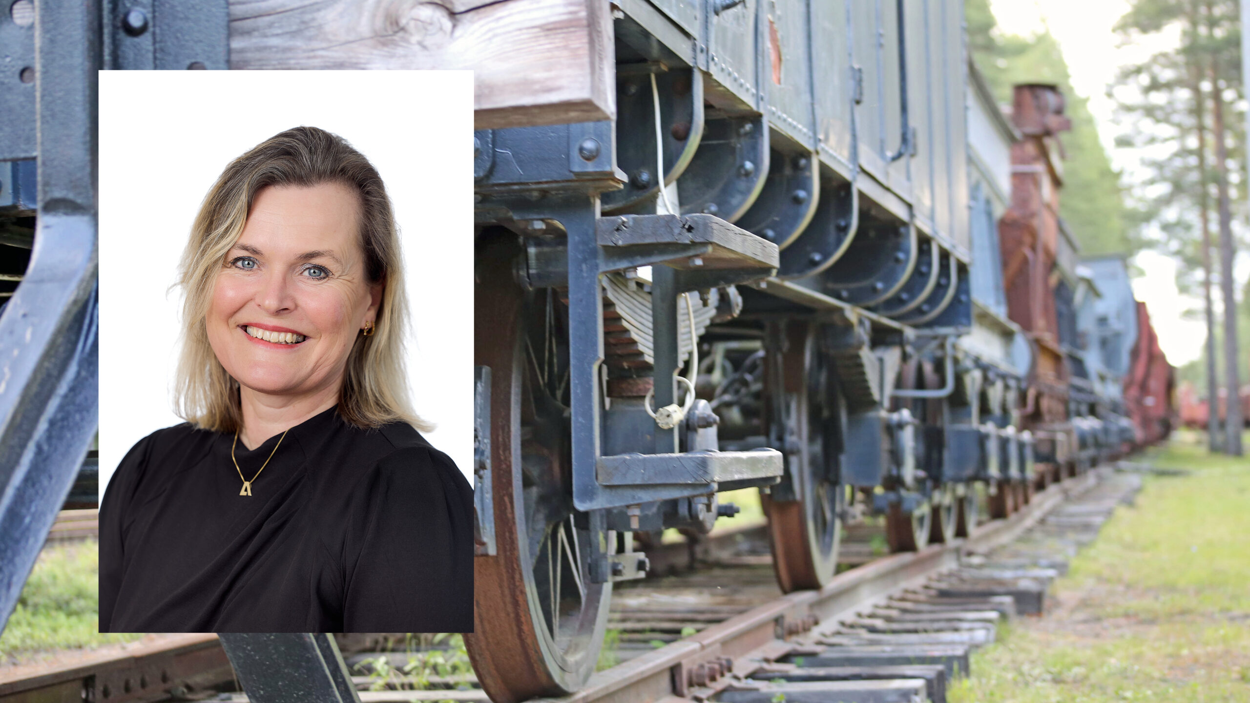 Avviser jernbane mellom Kolari og Skibotn - Ruijan Kaiku